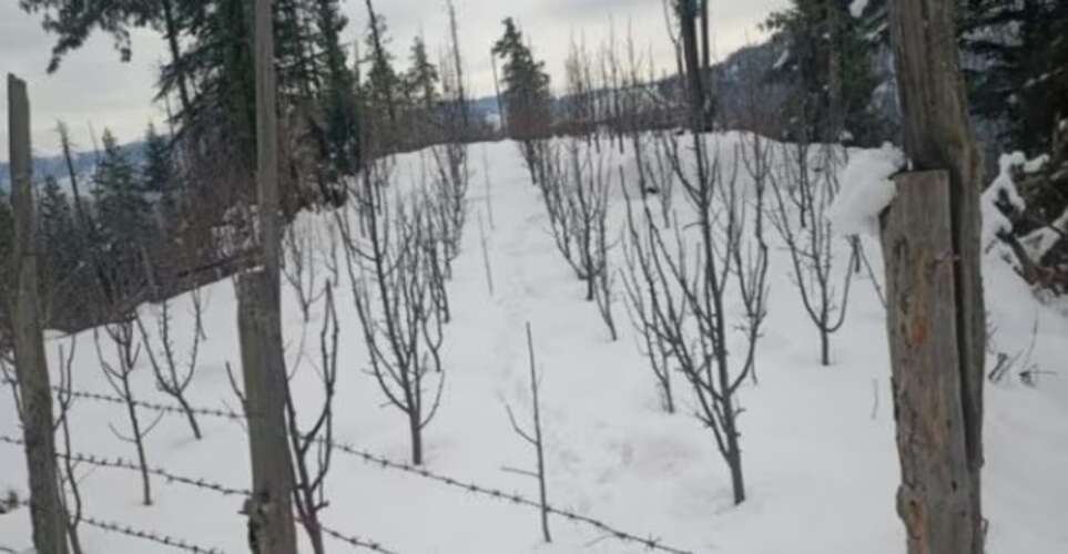 IMD Weather Forecast: Weather Patterns Changing a lot These Days in The ...