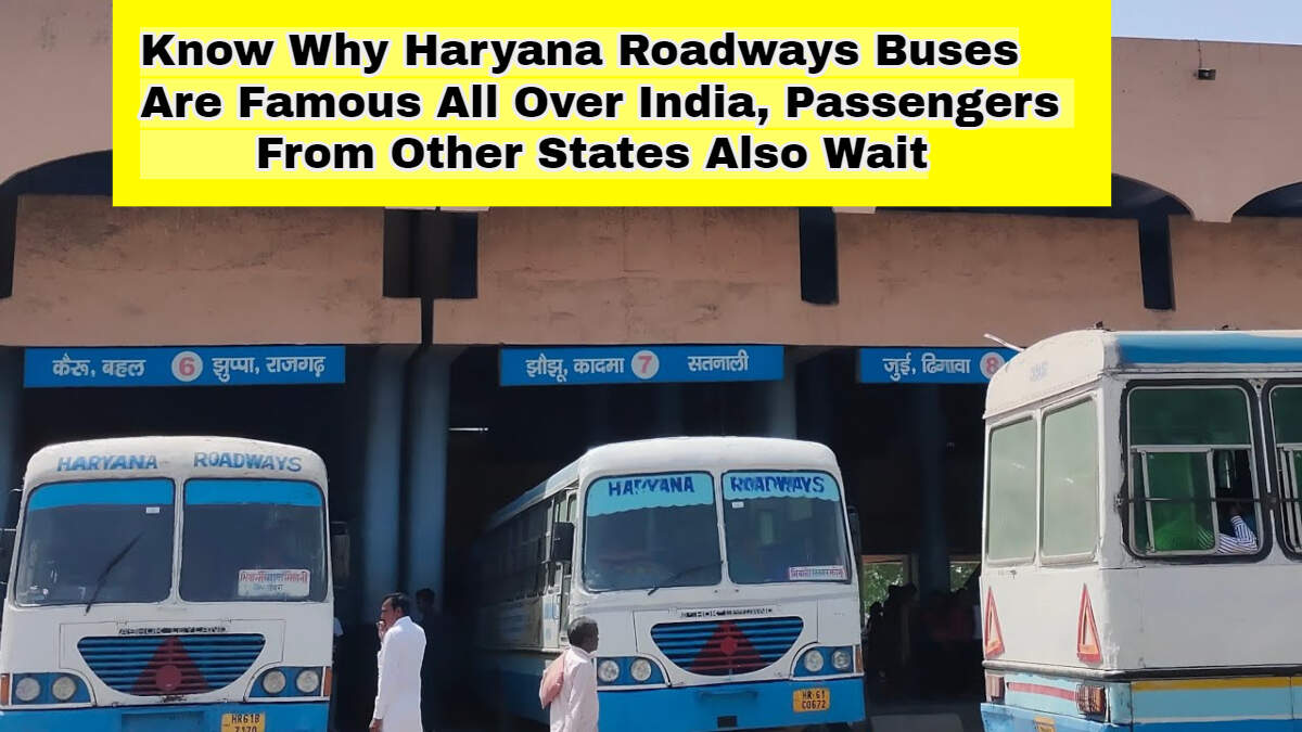 Haryana Roadways Know Why Haryana Roadways Buses Are Famous All Over